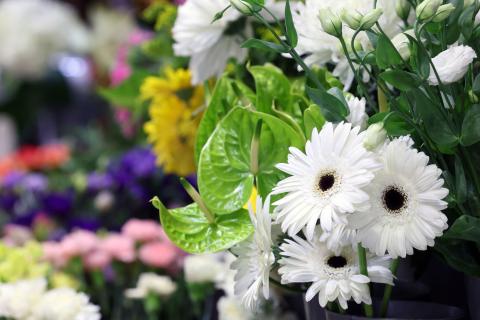 John Henry Flowers - Dev Bank